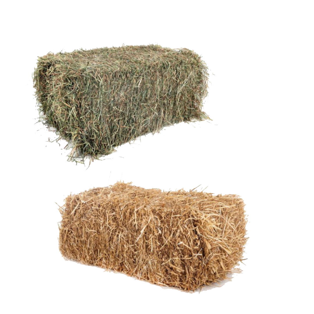 Cattle Feed – Jay Jashraj Gobal Traders